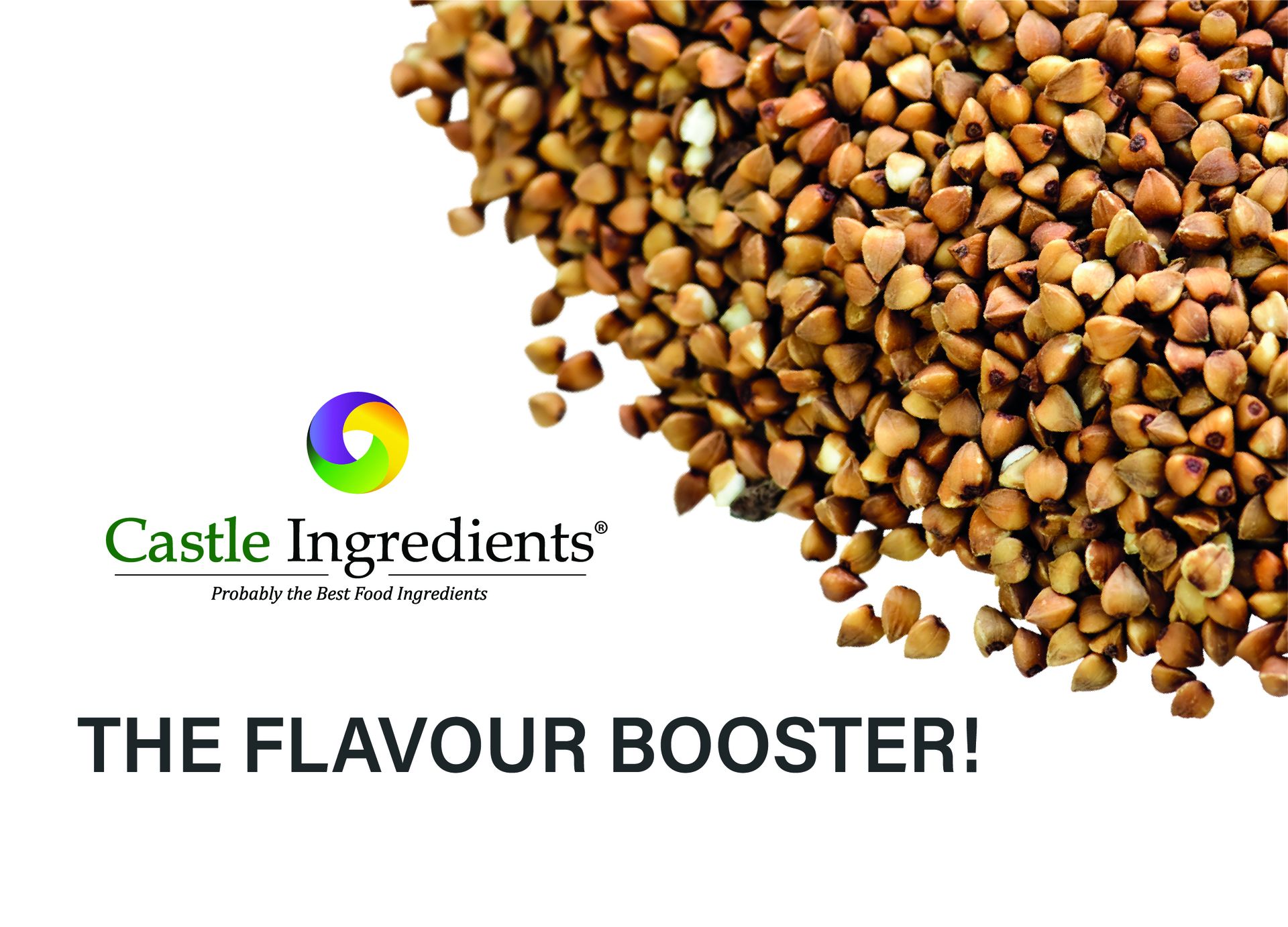 Our Catalogues | Castle-Group