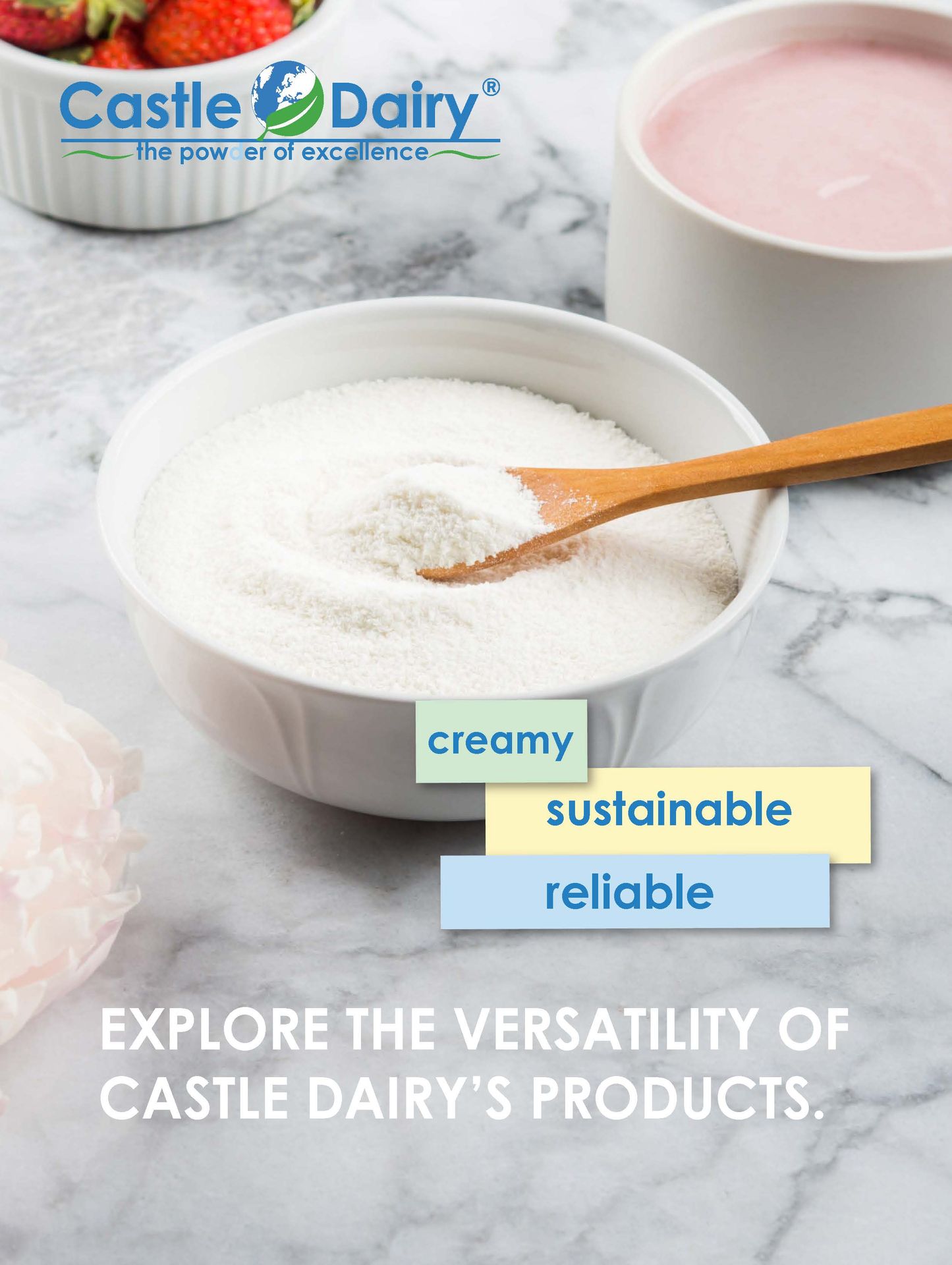 Dairy Ingredients Supplier | Castle Dairy Dried Milk Powders & Blends